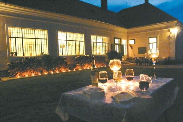 Green Valley Estate 10 Meter Pool, 16 Pers, 6 Bedrooms - Bakonybél
