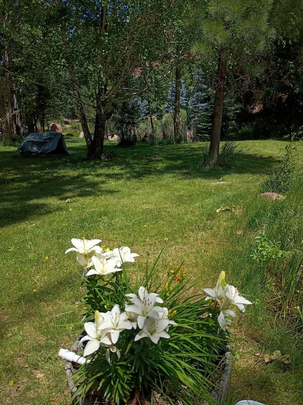 New Listing. Vacation Or Workation - Perfect Get-away By The River And Trail - Carbondale, CO