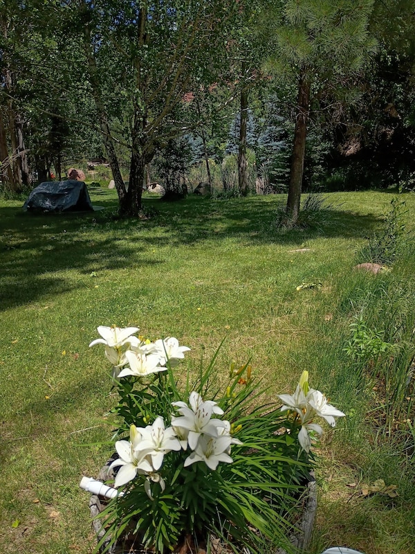 New Listing. Vacation Or Workation - Perfect Get-away By The River And Trail - Carbondale, CO