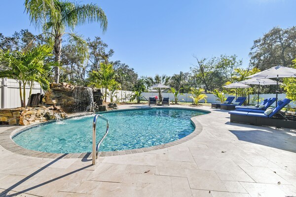 Tropical Oasis In The Heart Of Tampa - Perfect For Families Or Couples - Temple Terrace, FL
