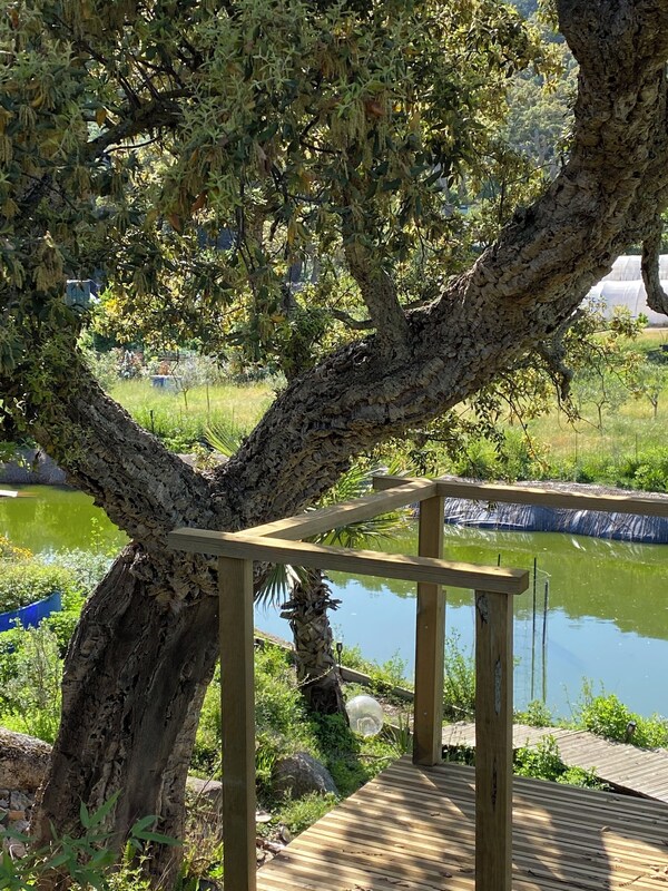 Chalet Le Caroubier - Porto-Vecchio