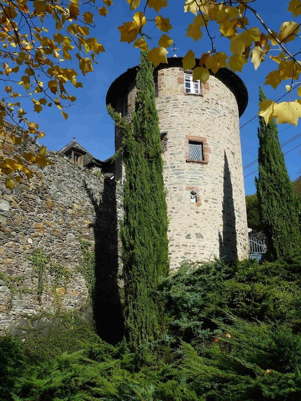 Le Manoir Des Pélies-au  Gré Du Vent. - Conques