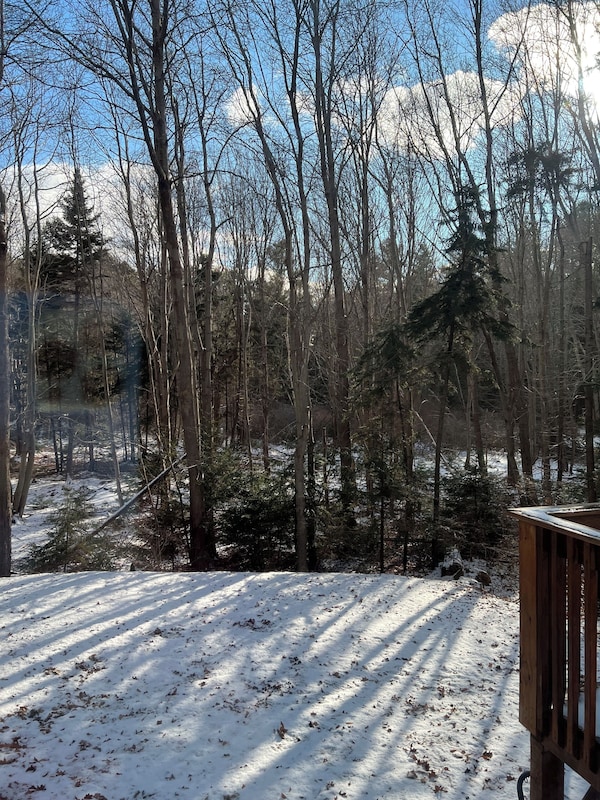 Cottage In The Woods On Picturesque Island - Portland, ME