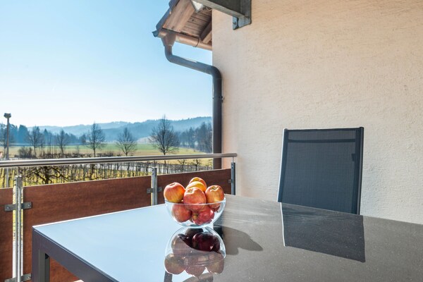 Ferienwohnung 'Apfelschnitz' Mit Gemeinschaftsgarten, Balkon Und Wi-fi - Stockach