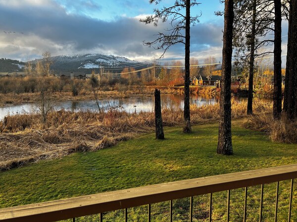 Newly-renovated Cabin In The Woods With Territorial View In Dover Bay Resort - Idaho (State)