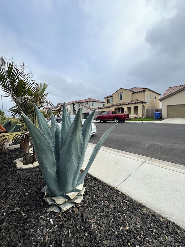 Cozy 450sqft Adu In Charming Guadalupe 4 Minutes From The Beach, Full Kitchen. - Nipomo, CA