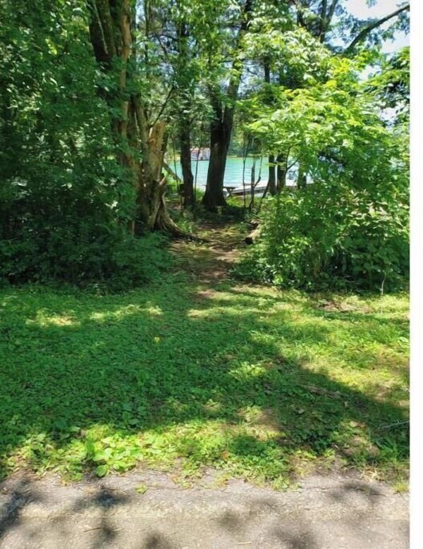 Peaceful Lakeview Cabin With Private Dock & Dog Run - Norris Dam State Park, Rocky Top