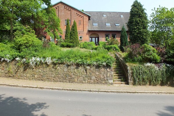 Hibiskus Im Malus Ponyhof - Hohenwestedt