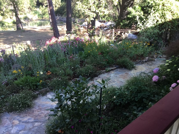 Yosemite Firehouse Inn - Yosemite National Park, CA