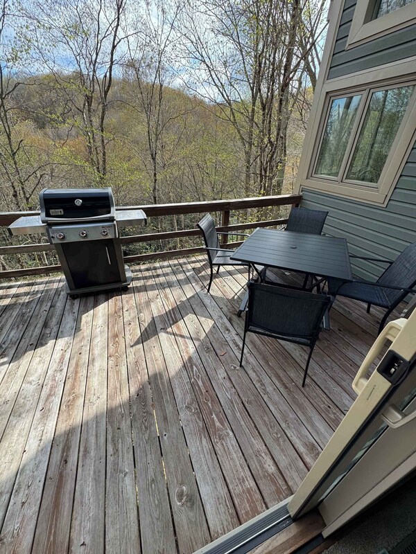 Mountain Fox Summary: - Beech Mountain, NC