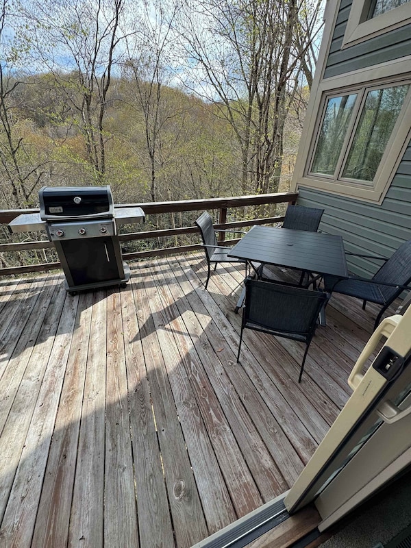 Mountain Fox Summary: - Beech Mountain, NC