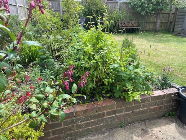Spacious Beach Bungalow, Less Than 5 Minutes Walk To The Beach - Chichester