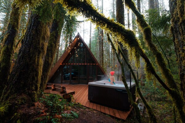 Iconic Sky Haus: Hot Tub, Fiber, Newly Renovated - Cascade Mountain, WA