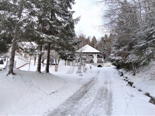 Apartment 'Bergblick' With Balcony And Wi-fi - Triberg