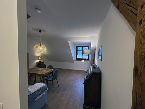 Entspannter Familienurlaub In Der Lassen Hof Ferienwohnung Affenbande - Busdorf