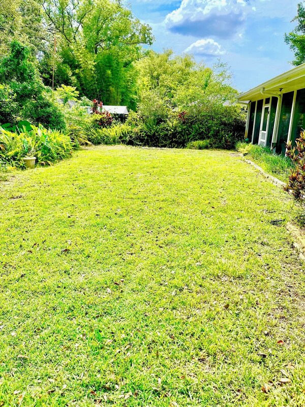 Tampa Escape, Lush Gardens, Pet-friendly, 4br Oasis - Tampa Vacation Rental - Odessa, FL