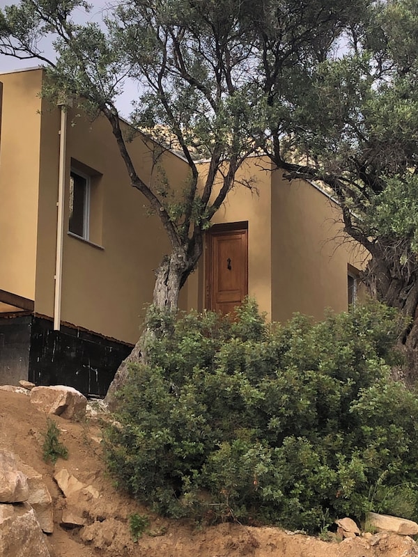 House Surrounded By Olive Trees, 5 Minutes From The Beach. - Lumio