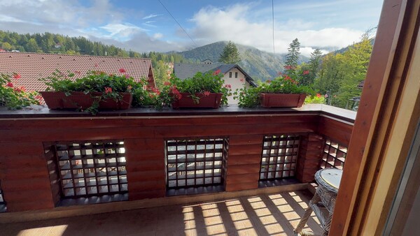 Vila Alisio Sinaia - Beautiful Villa With Sauna, Fireplace, Gym, Grill Place. - Sinaia