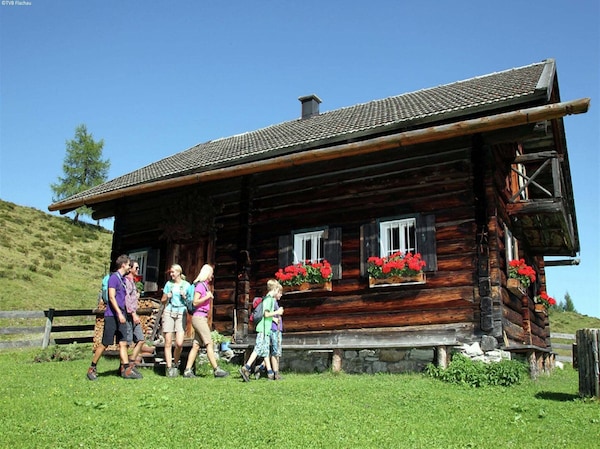 Appartement Met Balkon En Sauna - Zauchensee