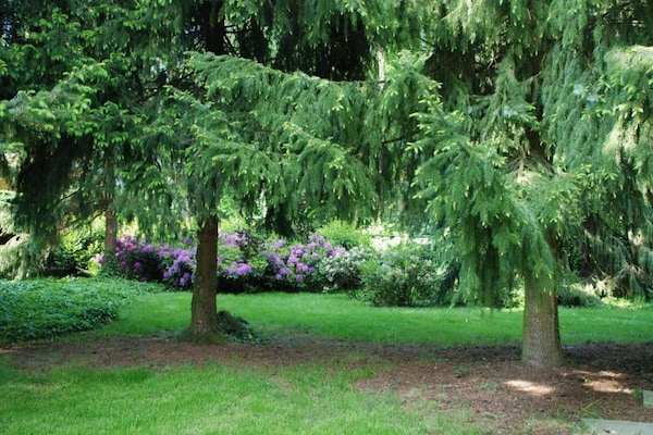 Villa In Klein Vink Mit Privatem Garten - Limburg