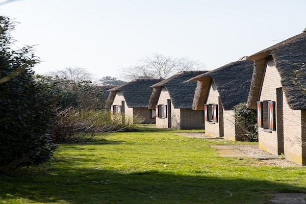 Bungalow In Veluwe Near Harderwijk - Putten