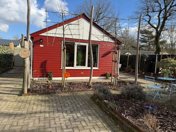 Colorful Vacation Home Squirrel With Barrel Sauna - Putten