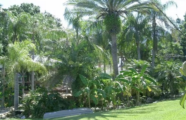 Waterfront Urban Paradise W/heated Pool And Hot Tub, In The Center Of Tampa - Tampa, FL