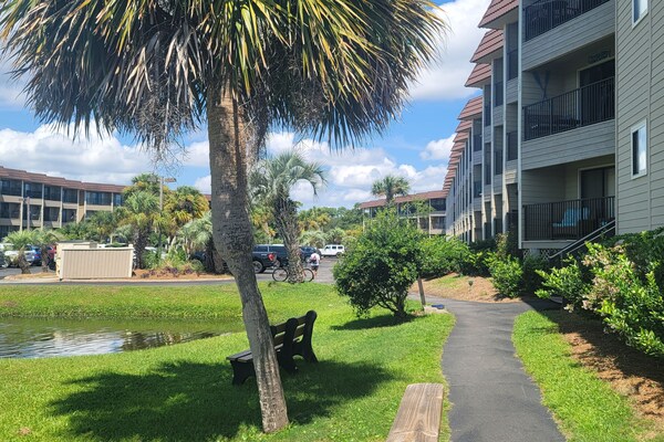Top Floor Ocean View & Sunrises For 6 /Hilton Head Beachfront Resort/ Pickleball - Hilton Head Island, SC