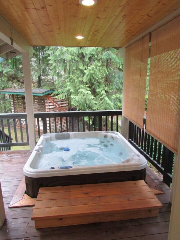 Mt. Baker Rim Ranch House - ベーカー山, WA