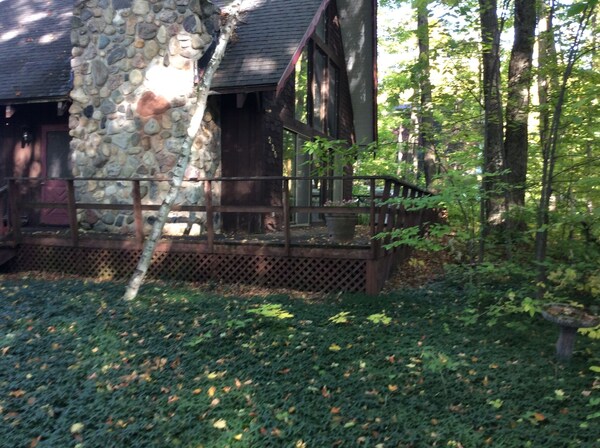 Classic Chalet Adjacent To Nubs Nob And Boyne Highlands - Petoskey, MI