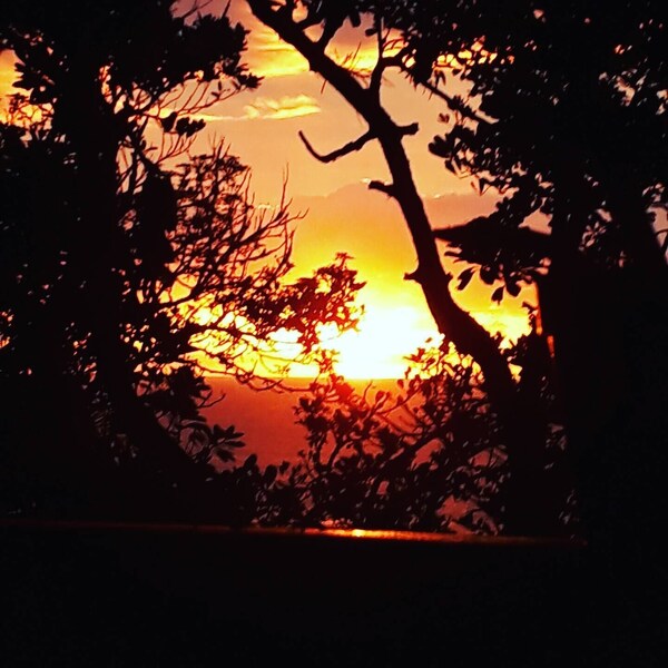 Perfect House To Relax Beautiful Sea View - Ubatuba
