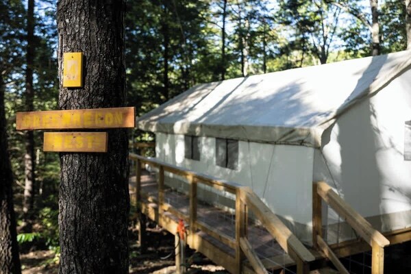 Green Herons Nest- Family Glamping Tent With Ac - Kentucky