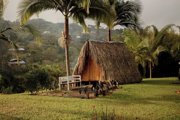 Bohio In The Mountains Of Colombia - La Cumbre