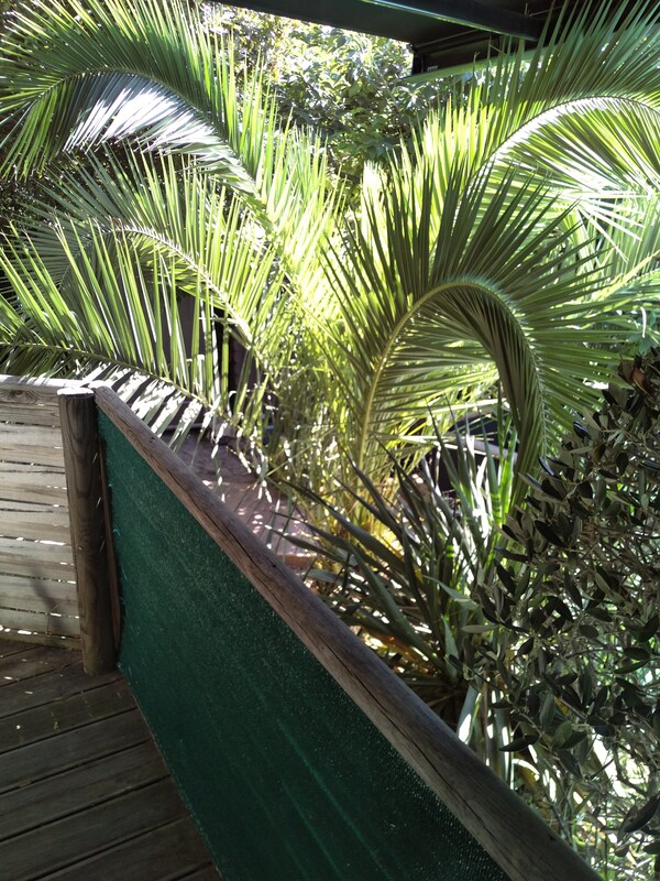 Dans Un Cadre De Verdure ,A Deux Pas Des Commerces Et Plages,rez De Jardin Calme - Agay
