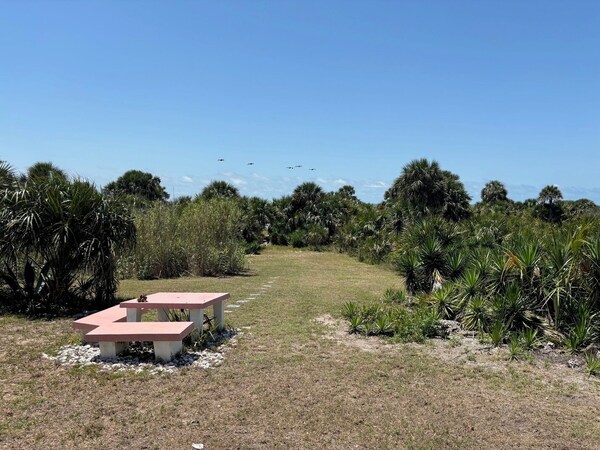 Canal-front Property With Gulf Access - Alligator Point, FL