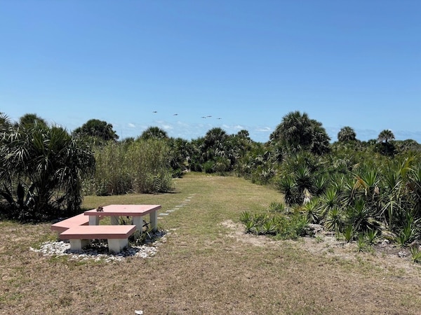 Canal-front Property With Gulf Access - Alligator Point, FL