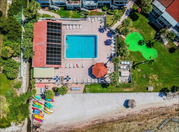 1br Beachfront Condo W/ Water View In St. Pete, Fl - St. Petersburg, FL