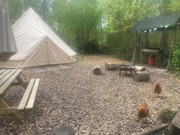 Spacious And Cosy 6 Meter Themed Jungle Bell Tent - Berkshire