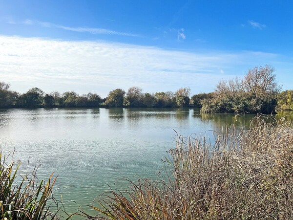 The Cartlodge - Uk48579 - Essex