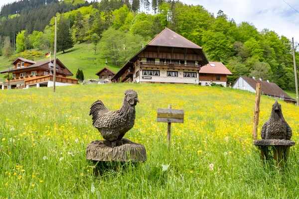 Ferienwohnung 'Waldblick' Mit Gemeinschaftspool Und Großer Terrasse - Wolfach