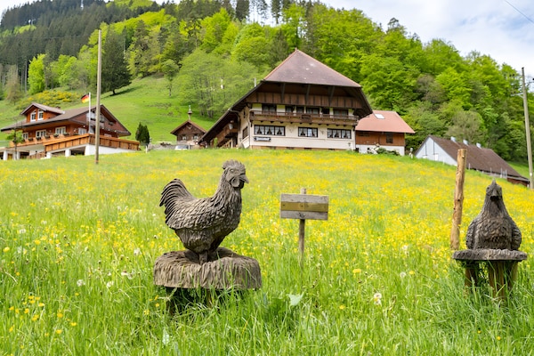 Ferienwohnung 'Hofblick' Mit Gemeinschaftspool - Wolfach
