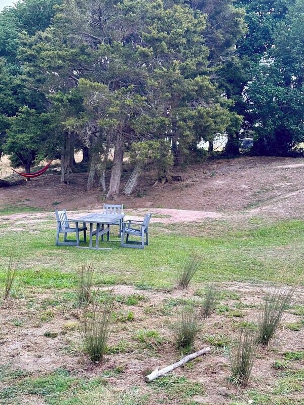 Cabin Kaipara Bliss/ Peaceful, . Pet Friendly - Maungaturoto