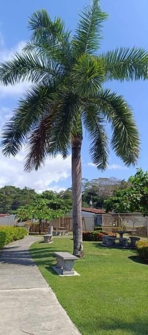 Beach House In Condominium With Pool And Private Access To The Beach. - Esterillos Este