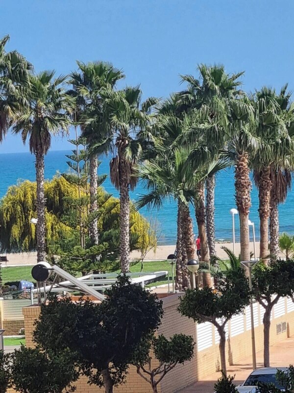 Apartament Cu Terasa Pe Malul Marii In Marina D Or - Cabanes