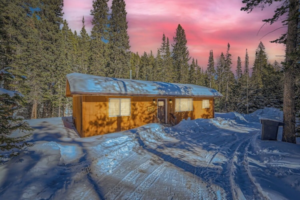 Moon Creek Cabin - A Cozy, Rustic Mountain Retreat! - Nederland, CO