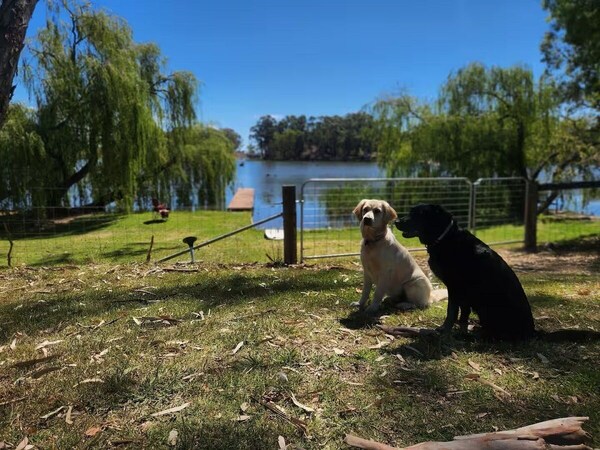 Waterfront 4 Bedroom Home With Rumpus Room - Nagambie
