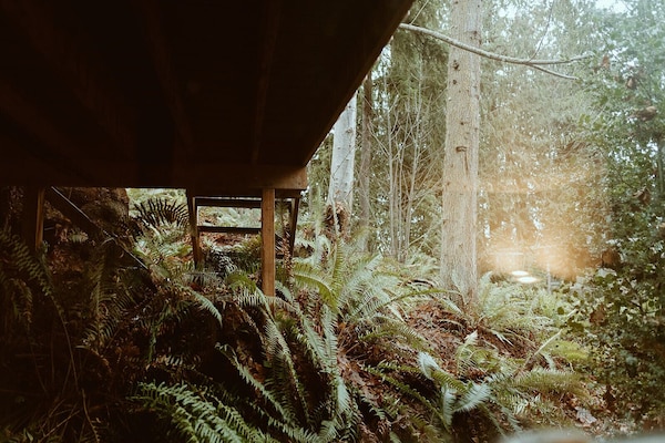 Cozy Cabin+dog Stay Free+hurricane Ridge+olympic National Park - Port Angeles, Washington