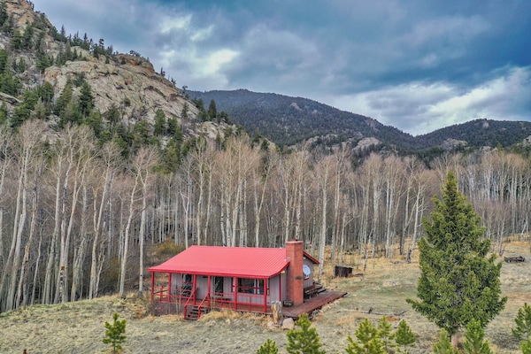 Cozy Cabin -Backs To Forest, Close To Fishing - Eleven Mile State Park, Lake George