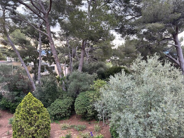 Terrasses De Portissol - 4 People - Sanary-sur-Mer