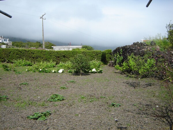 Silveira House - Pico